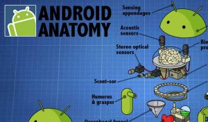 Inner Workings Of The Android Robot