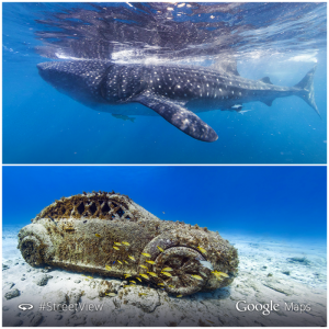 Google Adds Underwater Street View Images For Users To View