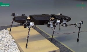 Hector 6 Legged Robot Inspired By Stick Bugs