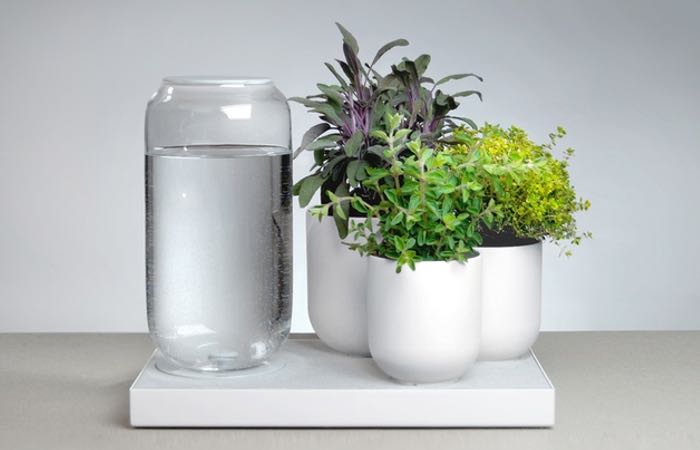 Tableau The Automatic Watering Solution For House Plants (video)