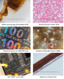 iMicro Q2 800x smartphone microscope from $19 - Geeky Gadgets