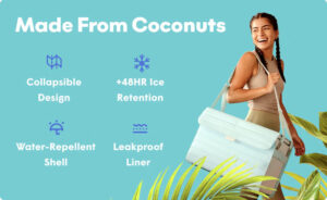Nutshell sustainable and collapsible cooler - Geeky Gadgets