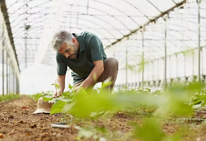 FarmBOX monitors the best growing conditions - Geeky Gadgets